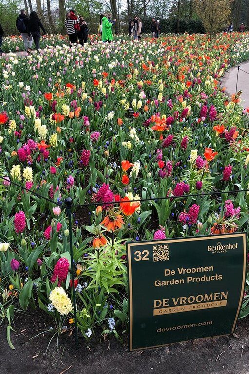 DeVroomen at Keukenhof! - De Vroomen