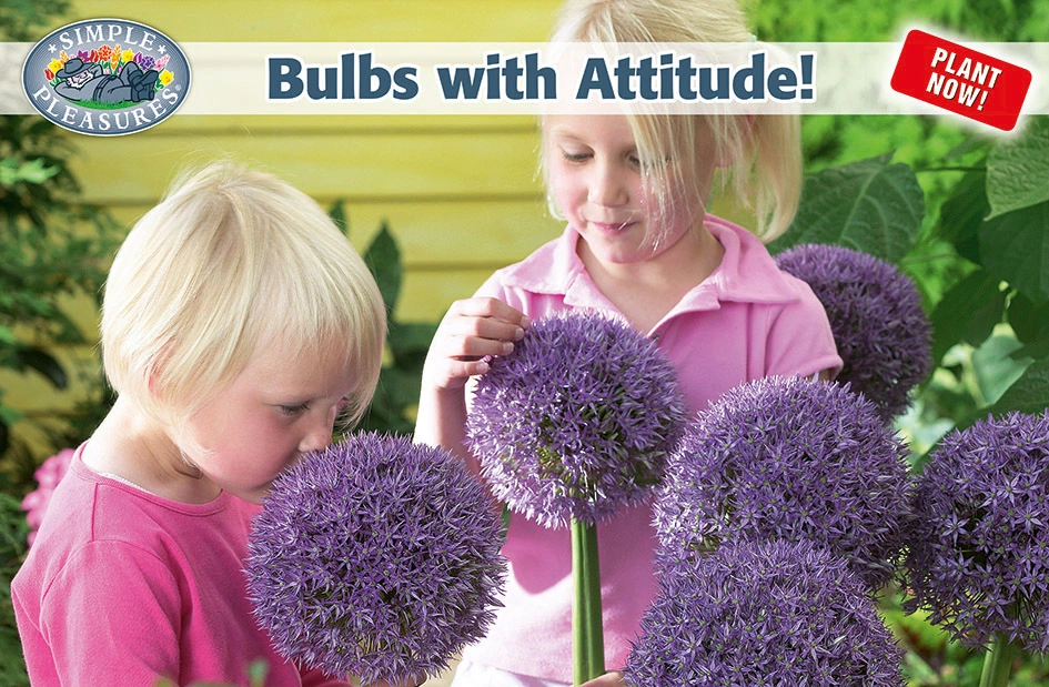 Display Bulbs with attitude - De Vroomen